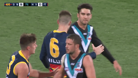 Round 20 Afl GIF by Adelaide Crows - Find & Share on GIPHY