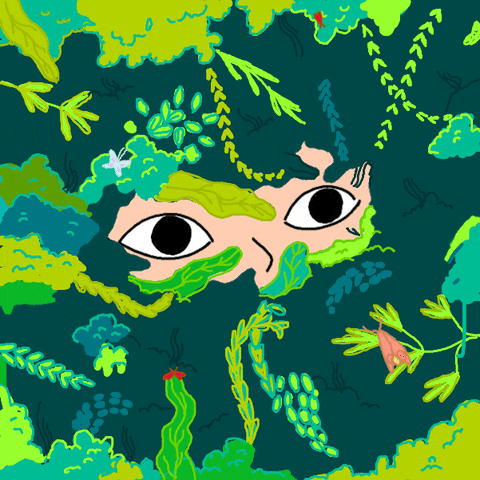 Observe GIFs - Find & Share on GIPHY