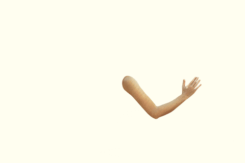 Animated GIF - Find & Share on GIPHY