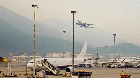 Travel Vacation GIF by TicketToParadise - Find & Share on GIPHY