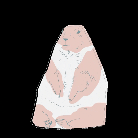 Prima GIFs on GIPHY - Be Animated