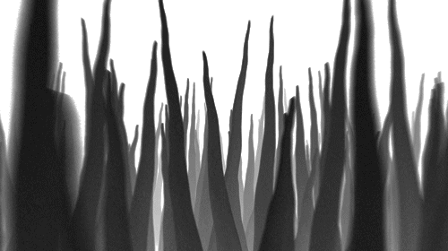 Above And Below GIFs - Get the best GIF on GIPHY