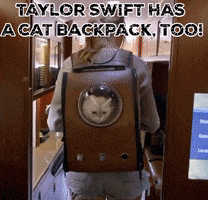 Taylor Swift Cats GIF by Your Cat Backpack - Find & Share on GIPHY
