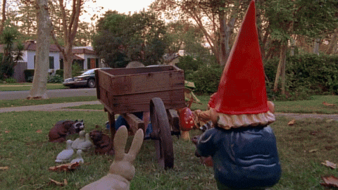 New Neighbors GIFs - Get the best GIF on GIPHY