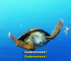 Sea Turtle GIFs for #WorldSeaTurtleDay! by NRDC | GIPHY