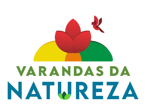 Meu Rocha GIFs on GIPHY - Be Animated