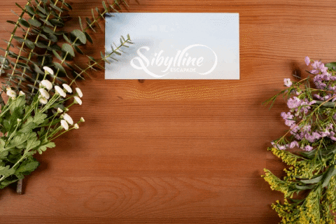 Sibylline Escapade GIFs on GIPHY - Be Animated