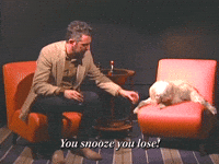 You-snooze-you-lose GIFs - Get the best GIF on GIPHY