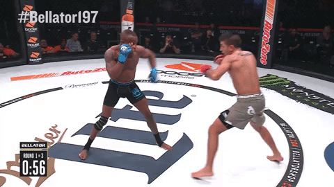 Mma Takedown GIF by Bellator - Find & Share on GIPHY