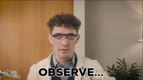 Observe Sean Flanagan GIF by FoilArmsandHog - Find & Share on GIPHY