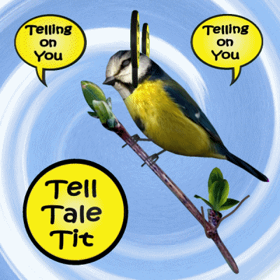 Blue Tit GIFs - Get the best GIF on GIPHY