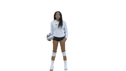 Volleyball GIFs on GIPHY - Be Animated