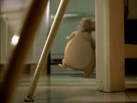 Fat Mouse GIFs - Get the best GIF on GIPHY