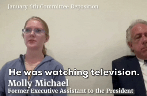 24 GIFs From Day 9 of the January 6th Committee Hearings by GIPHY News ...