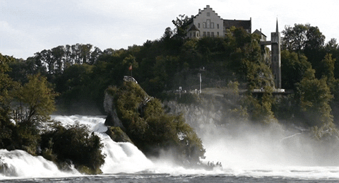 Rhine GIFs - Get the best GIF on GIPHY