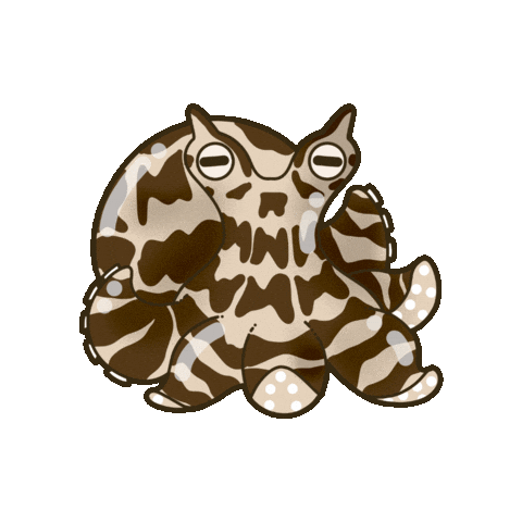 Mimic Octopus Gif