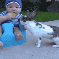 Mu moda yakek | ElaKiri