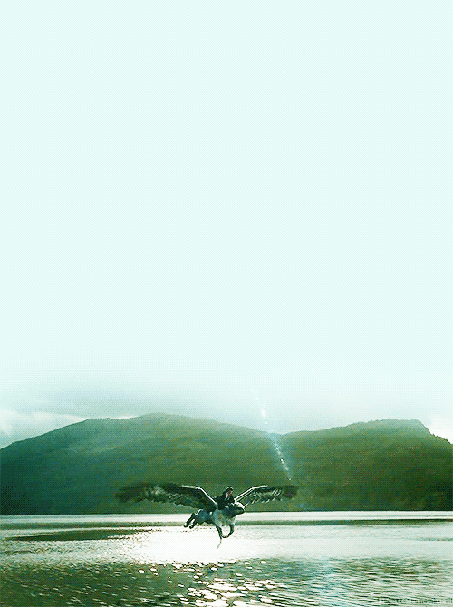 Flying GIF - Find & Share on GIPHY