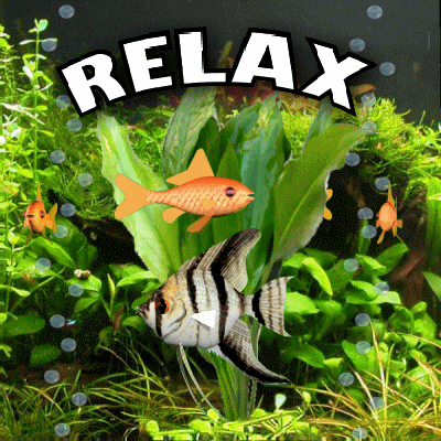 Relaxing Take It Easy GIF - Find & Share on GIPHY