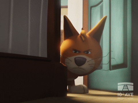 Cat Watching GIF by 10e Ave Productions - Find & Share on GIPHY