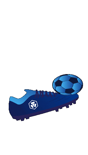 FIFA World Cup Stickers GIFs on GIPHY - Be Animated