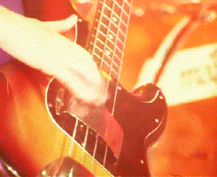 Bass Player GIFs - Find & Share on GIPHY