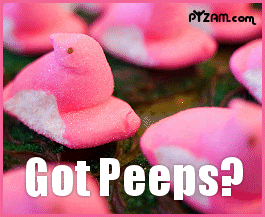 Peeps GIFs - Get the best GIF on GIPHY