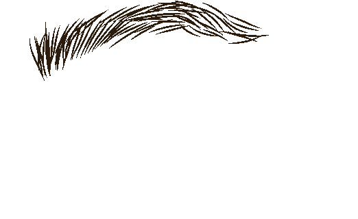 Eyebrow Texture Alpha