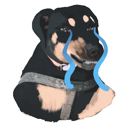 Sad Dog Sticker for iOS & Android | GIPHY