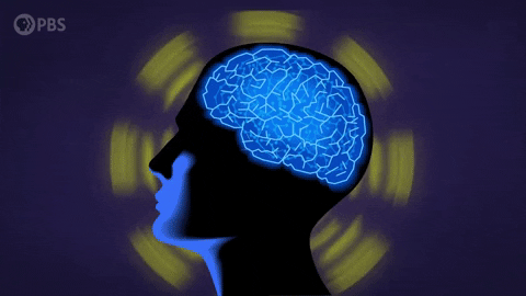 Sensory-adaptation GIFs - Find & Share on GIPHY