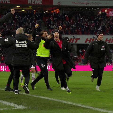 1 Fc Cologne Football GIF by 1. FC Köln - Find & Share on GIPHY