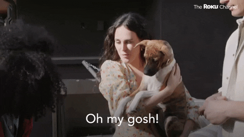 Rumer Willis GIF by The Roku Channel - Find & Share on GIPHY