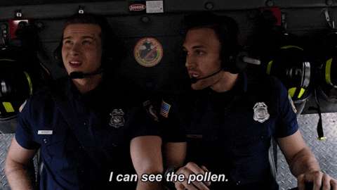 I-can-see-the-pollen GIFs - Get the best GIF on GIPHY