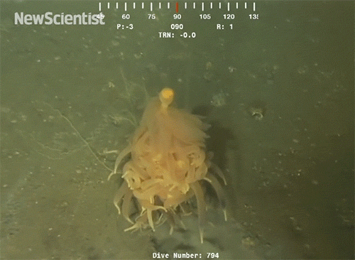 Number-90 GIFs - Find & Share on GIPHY