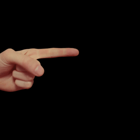 Pointing At You Look Here GIF by Gareth Gallagher - Find & Share on GIPHY