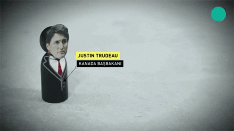 Justin Trudeau Canada GIF by GZT - Find & Share on GIPHY