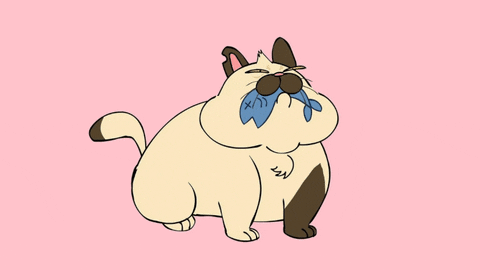 Eating Fish GIFs - Get the best GIF on GIPHY