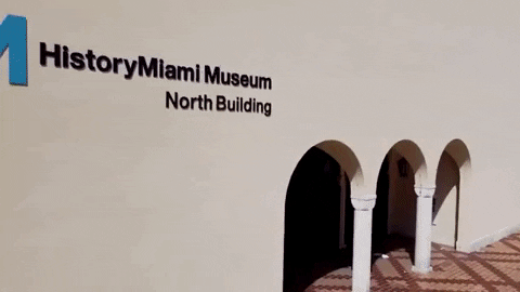 Downtown Miami GIFs - Get the best GIF on GIPHY