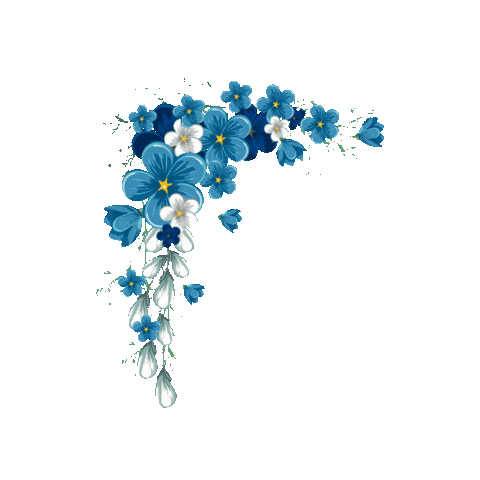 Transparent Flower Frame
