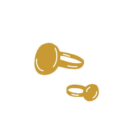 Jewelry GIFs on GIPHY - Be Animated