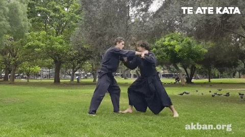 Kata Ninjutsu GIF by AKBAN Detant - Find & Share on GIPHY