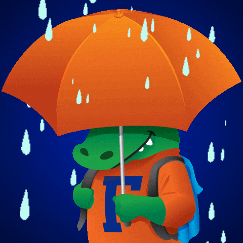 Gator Umbrella GIFs - Get the best GIF on GIPHY