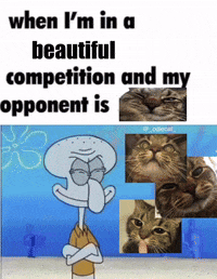 Meme Competition GIFs - Find & Share on GIPHY