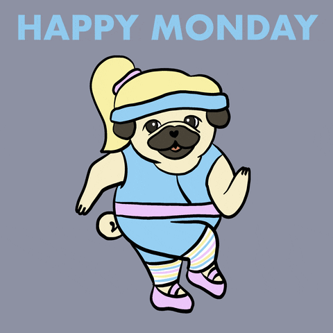 Happy Monday Morning GIF - Find & Share on GIPHY