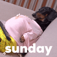 Sunday-feel GIFs - Get the best GIF on GIPHY