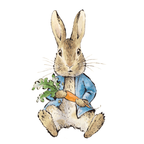 Peter Rabbit GIFs on GIPHY - Be Animated