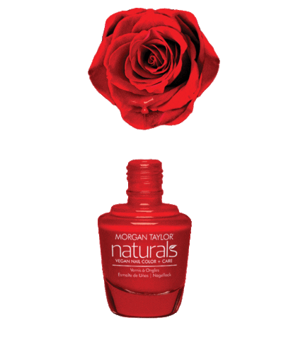 Nail Alliance GIFs on GIPHY - Be Animated