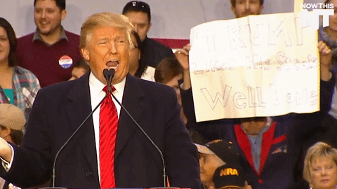 Donald Trump GIF by NowThis - Find & Share on GIPHY