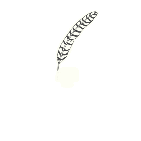 Floating Feather Gif