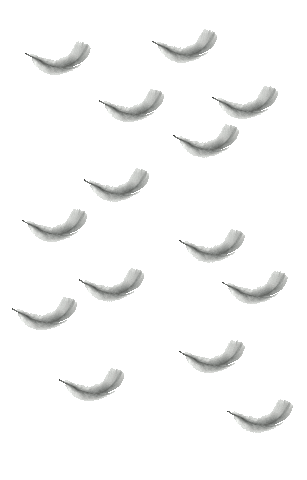 Feather Falling Gif